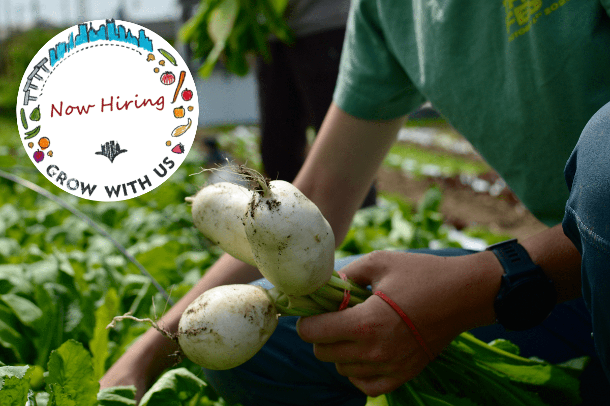 Welcome to Grow Pittsburgh - Grow Pittsburgh