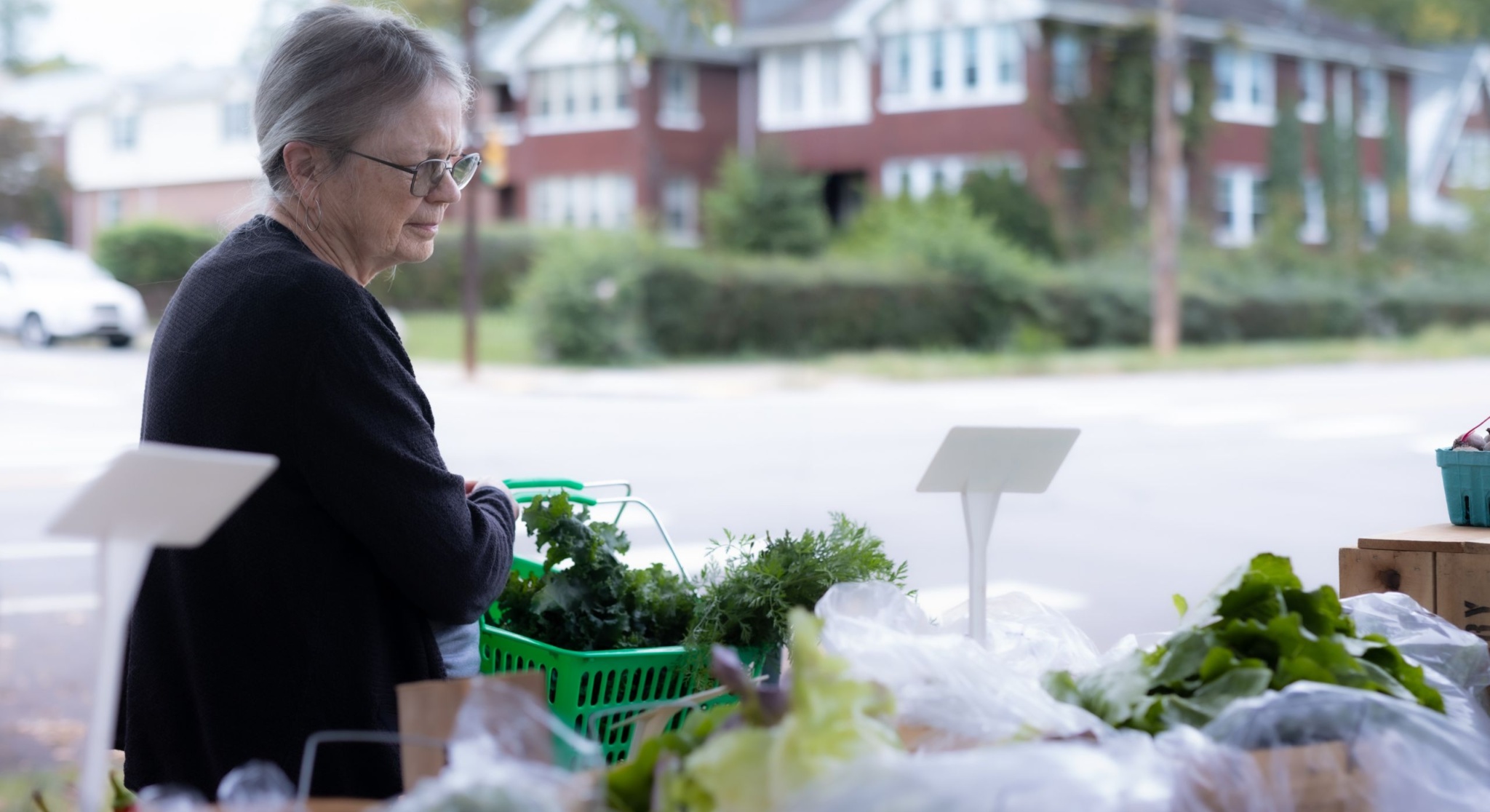 Help People Grow Food and Share the Benefits of Gardening! - Grow ...
