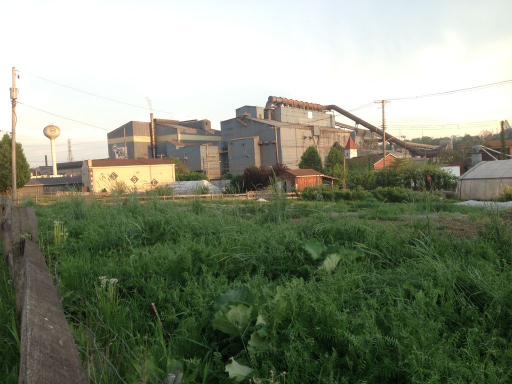 Braddock Farms prepares for summer - Grow Pittsburgh