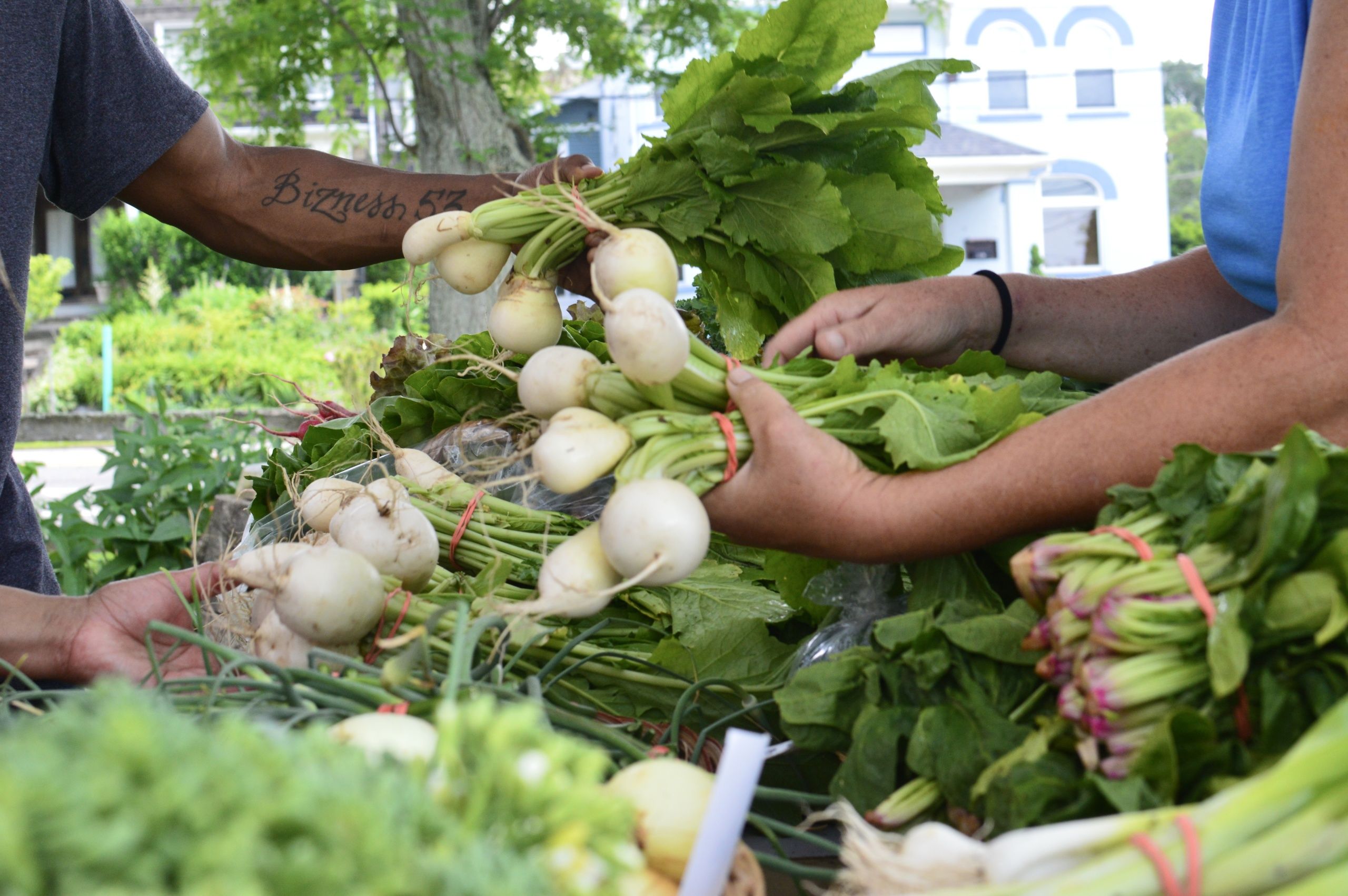 Grow Pittsburgh, community gardens, learning gardens and resources in ...