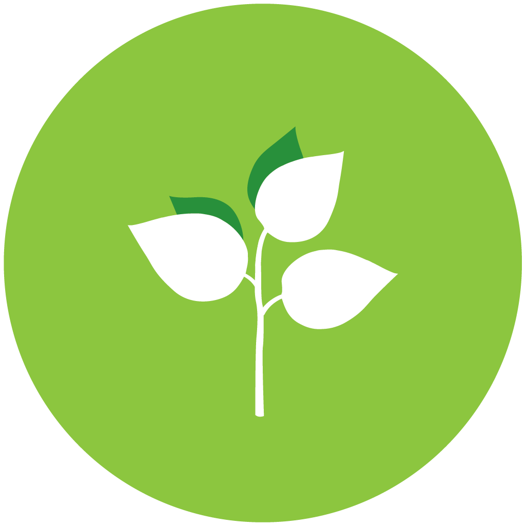 Welcome to Grow Pittsburgh - Grow Pittsburgh