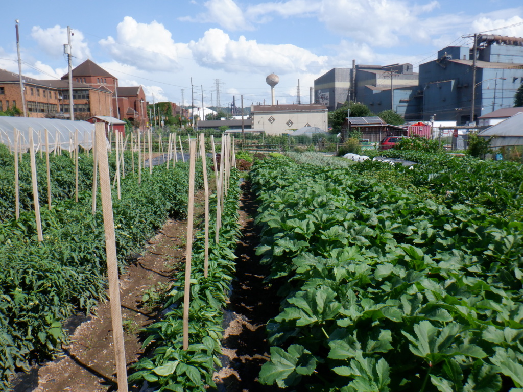 Braddock Farms - Grow Pittsburgh