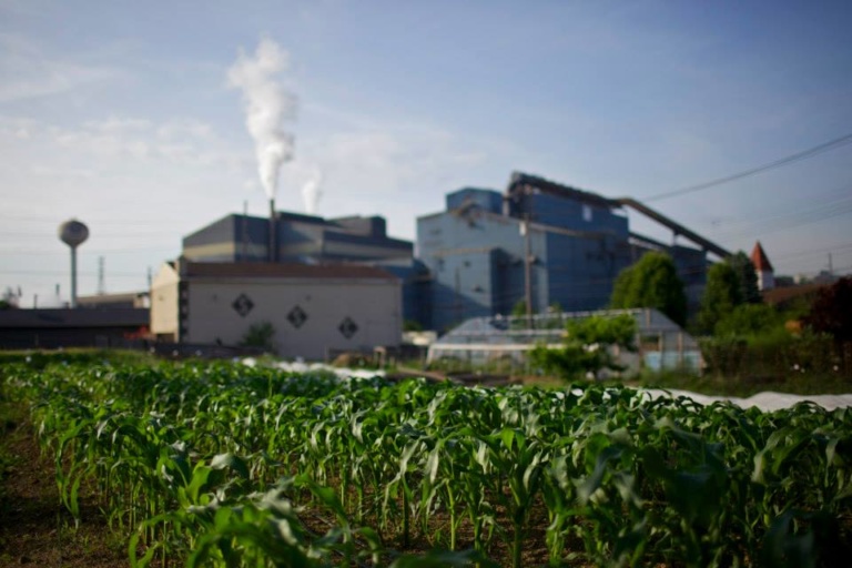 Visit an urban farm - Grow Pittsburgh