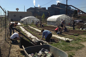 Community Gardens - Grow Pittsburgh