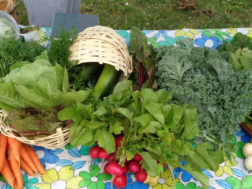 February Funding Sources for Community Gardens - Grow Pittsburgh