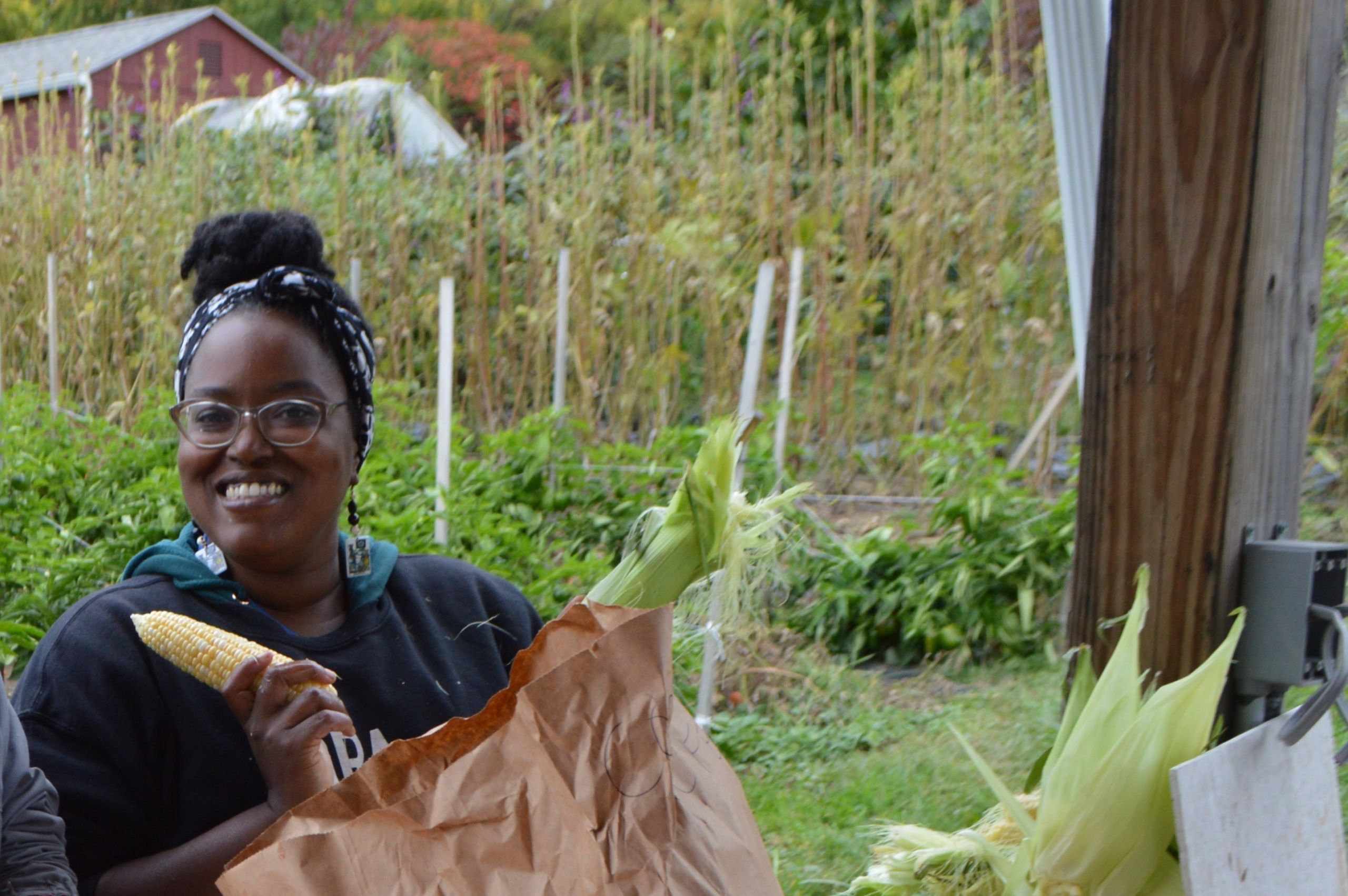 Grow Pittsburgh, community gardens, learning gardens and resources in ...