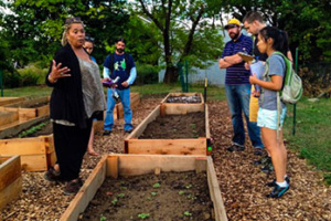 Community Gardens - Grow Pittsburgh