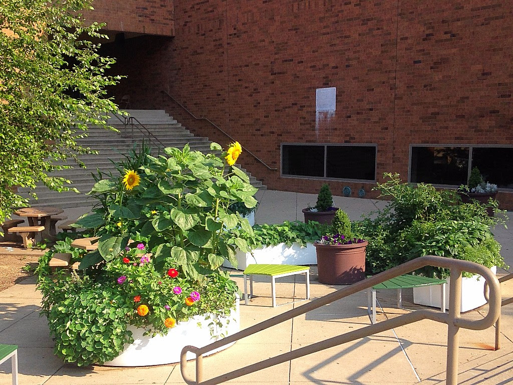 Learning Garden Program - Grow Pittsburgh